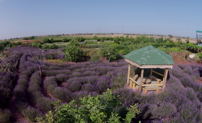 CyHerbia Botanical Park & Labyrinth - Tourist Guide - Avgorou, Cyprus